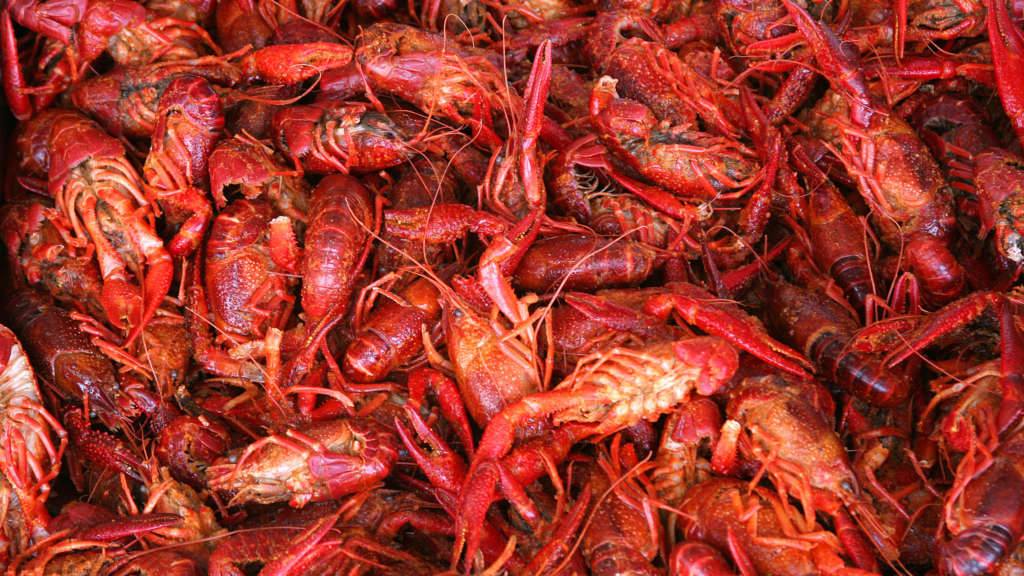 LSU Students Create an Automated Robotic Arm for Crawfish Harvesting ...