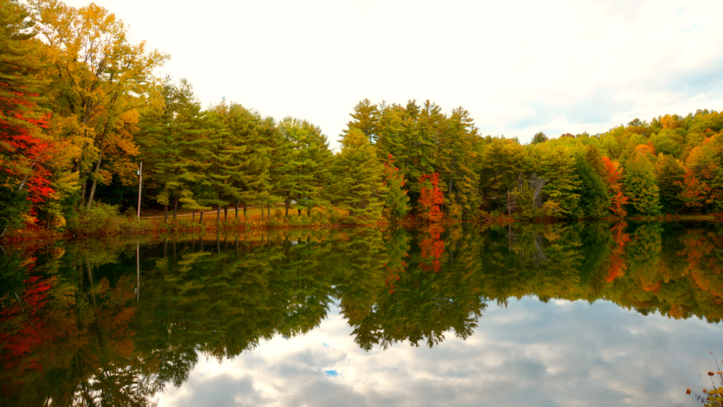 Small Town Fall Travel for 2021 - Arlen "Benny" Cenac Jr