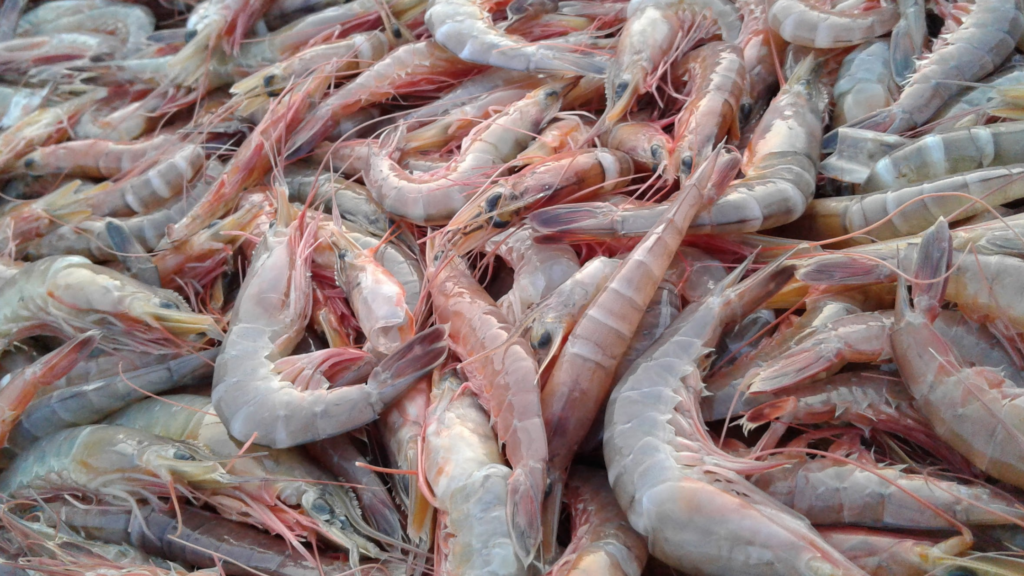 Cajun Comfort Food: Shrimp and Tasso Pasta Recipe - Arlen "Benny" Cenac Jr