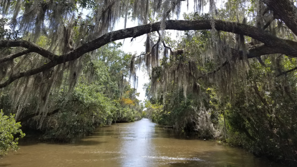 LSU's Mission to Preserve Coastal Heritage - Arlen "Benny" Cenac Jr
